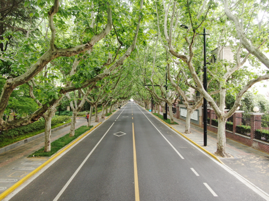 上海市长宁区人民政府-国际版-Right time to enjoy the century-old street
